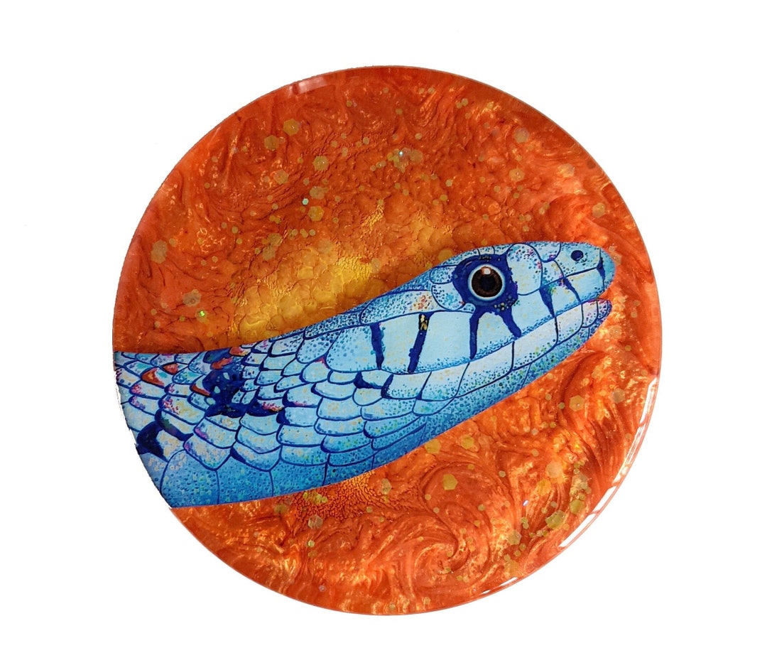 Snake Ornament, Reptile Ornament, Animal Resin Ornament, Colorful ...