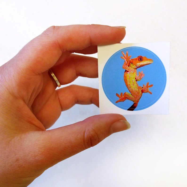 10 Vinyl Reptile Stickers Snakes Lizards and Turtles With - Etsy