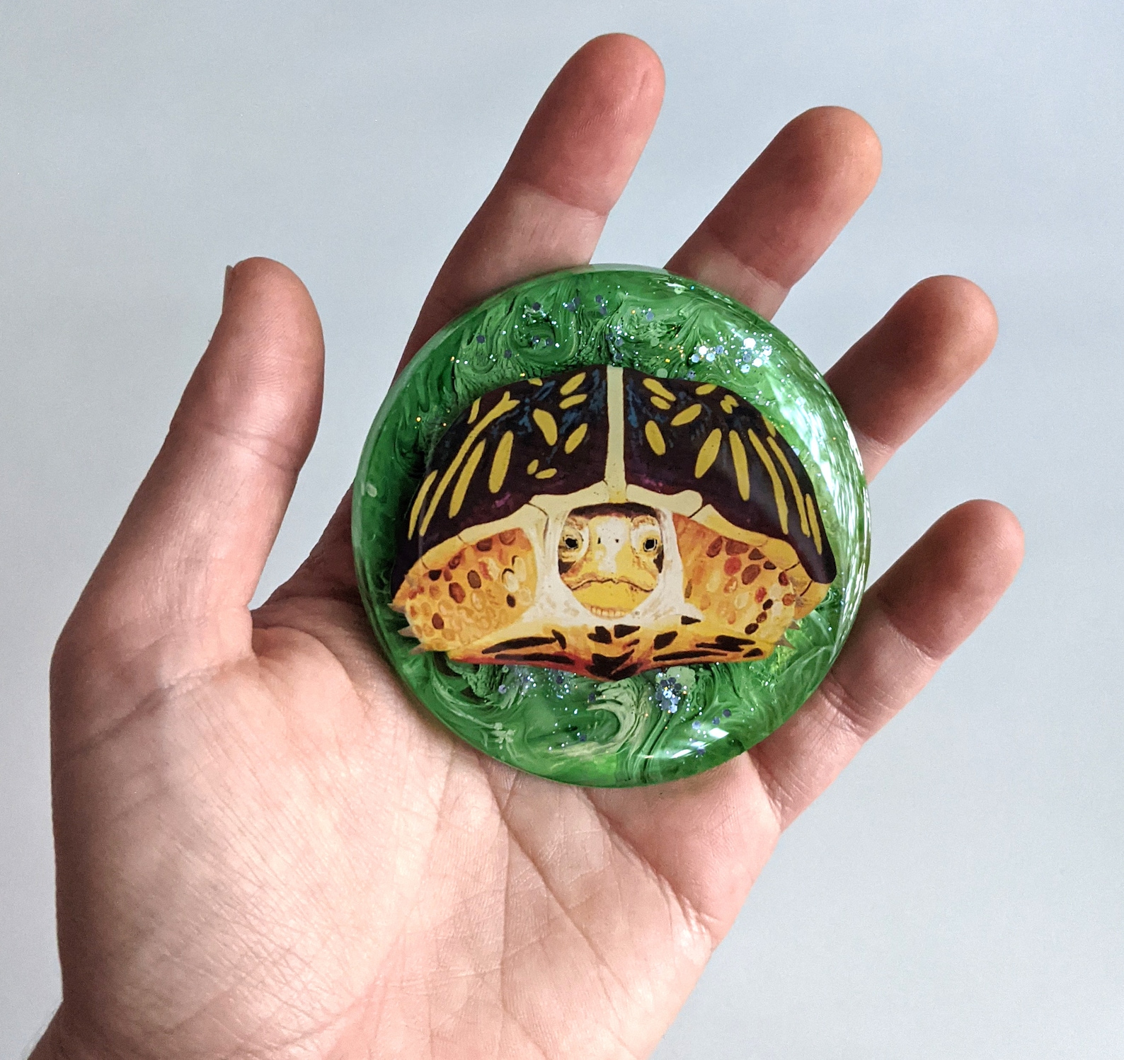 Box turtle magnet colorful resin magnet cute turtle art | Etsy