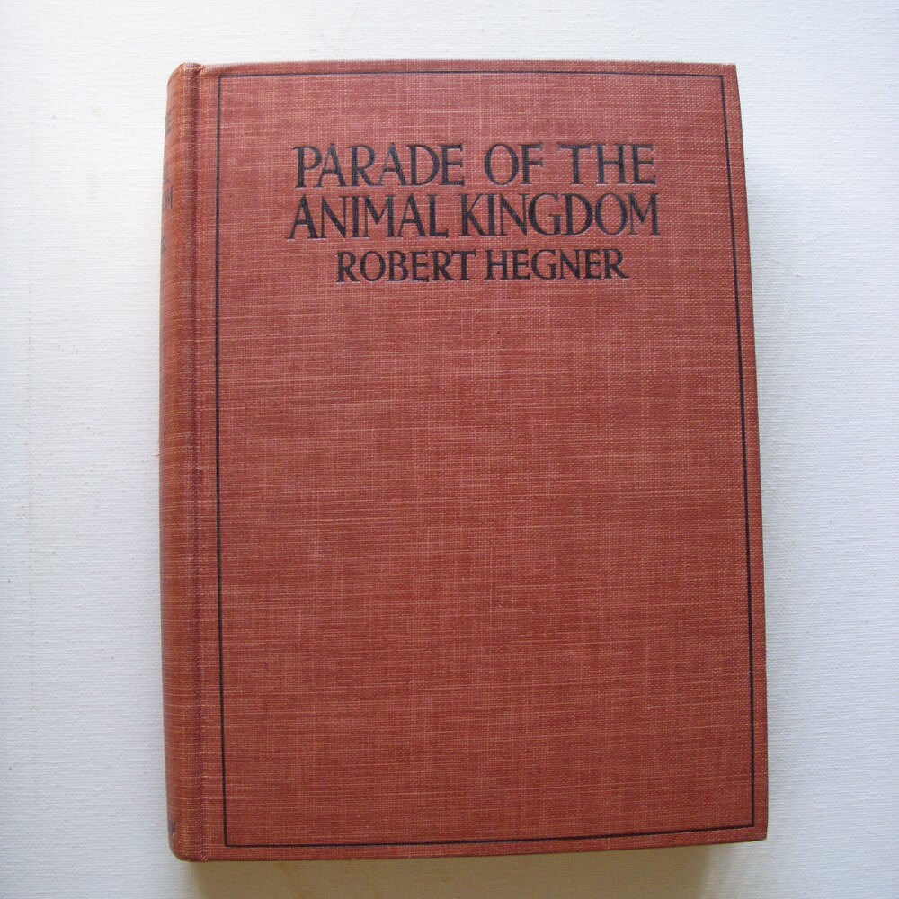 1935 Parade of the Animal Kingdom Book Illustrated - Etsy