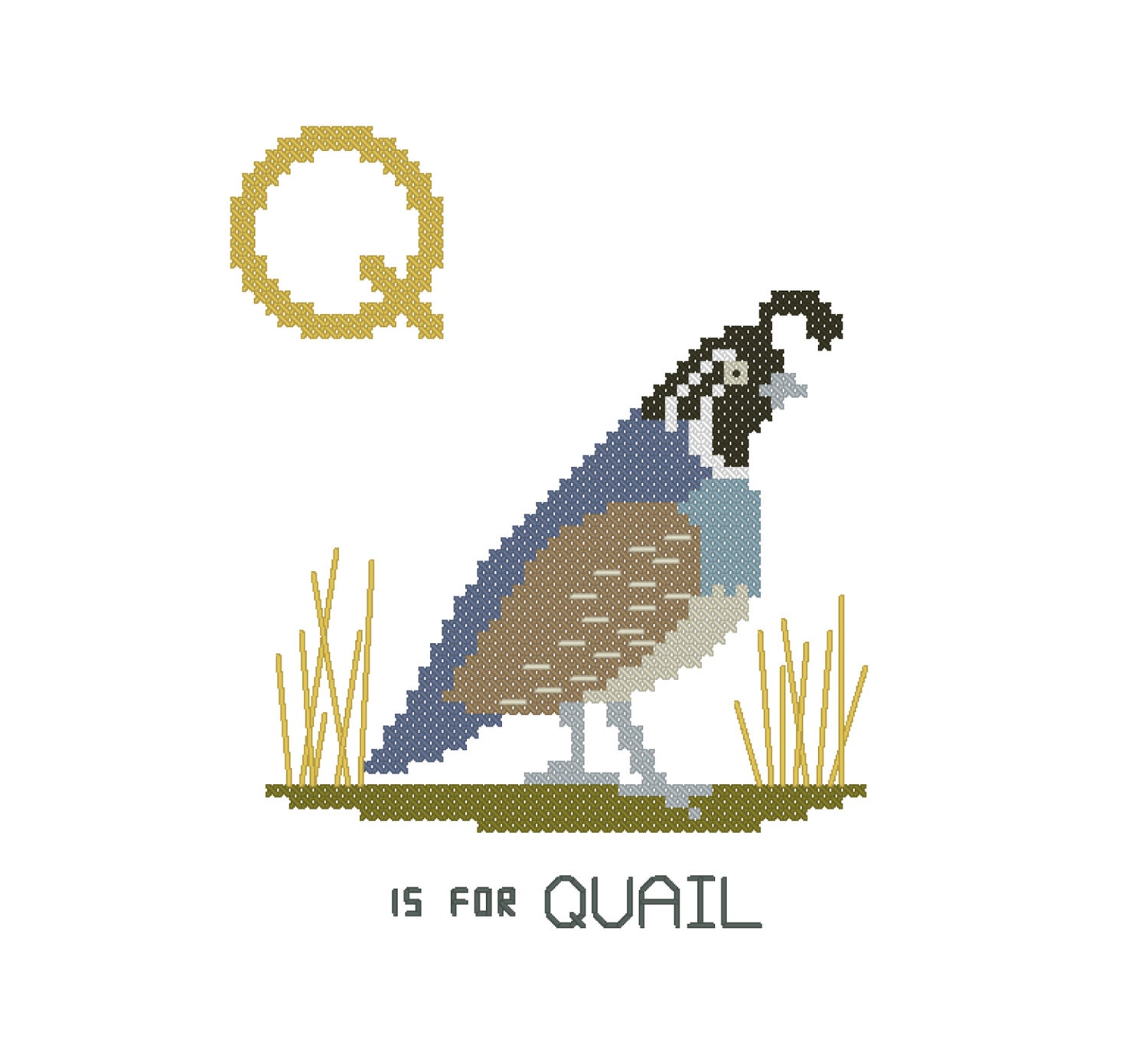 Quail Modern Cross Stitch PATTERN Alphabet Animalia - Etsy