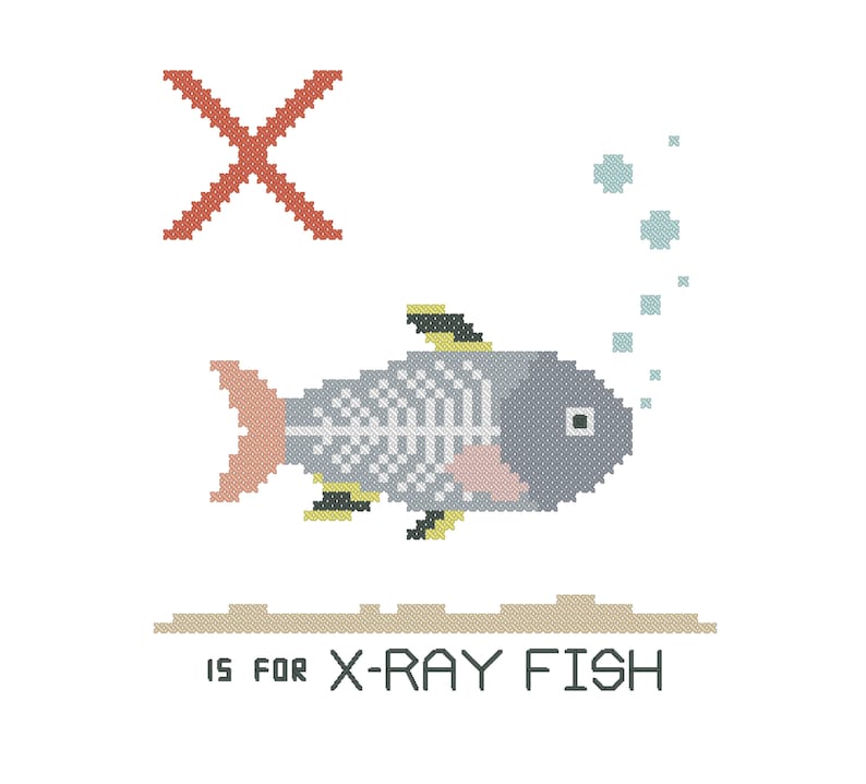 X-ray Fish, Modern Cross Stitch PATTERN, Alphabet Animalia - Etsy