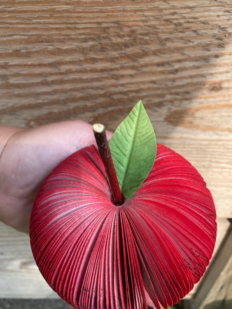 Teacher Book Apple - Etsy