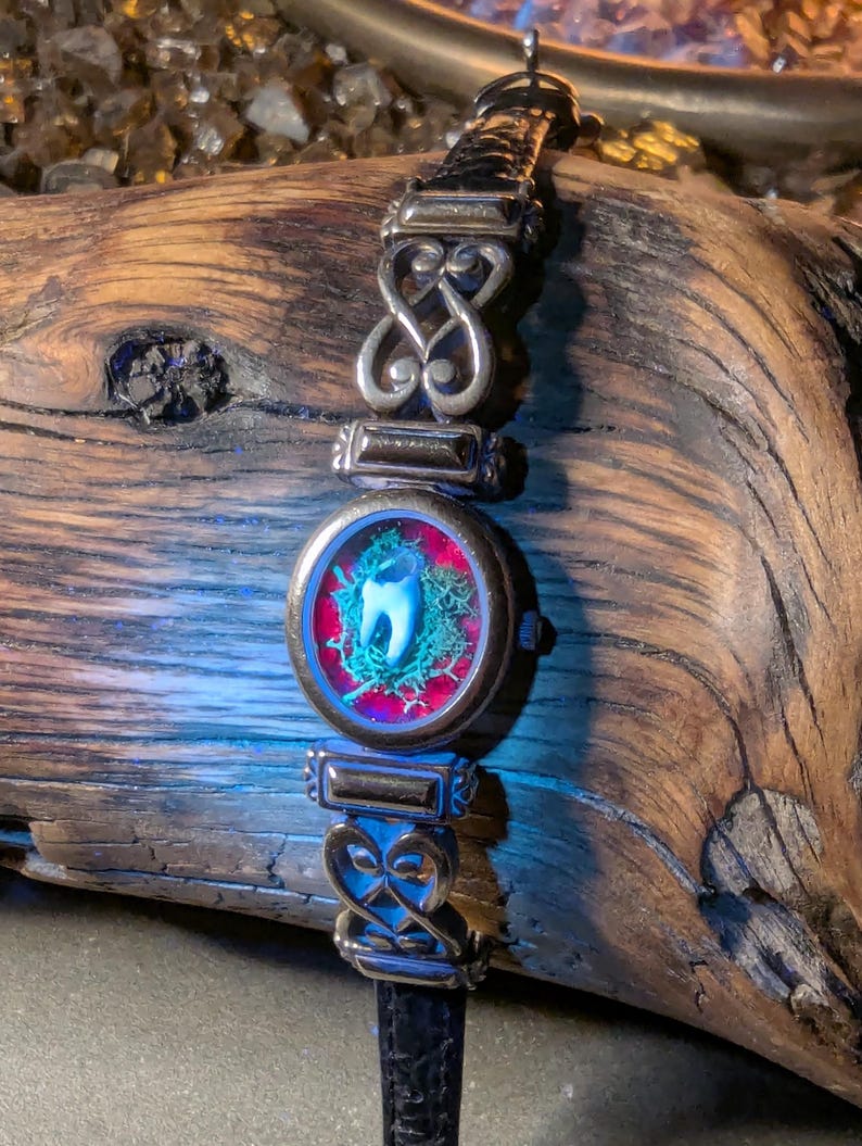 UV Reactive Vampire Watch!! Muskrat Tooth With Lab Ruby in Repurposed ...