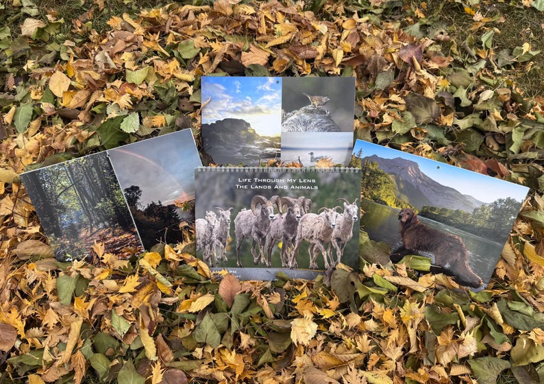 2026 Lands and Animals Calendar - Etsy