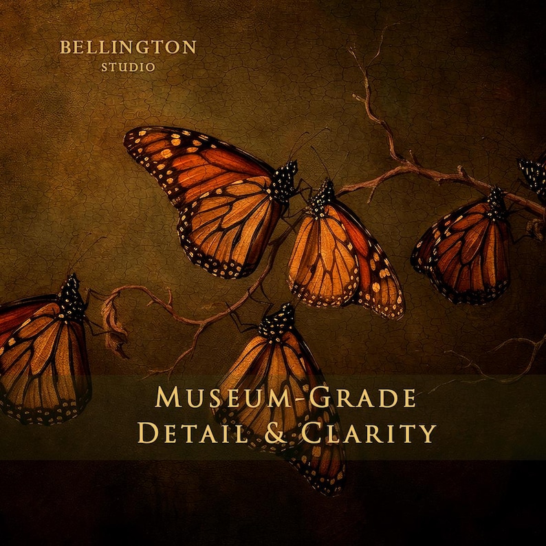 Moody Monarch Butterfly Fine Art Print, - Etsy