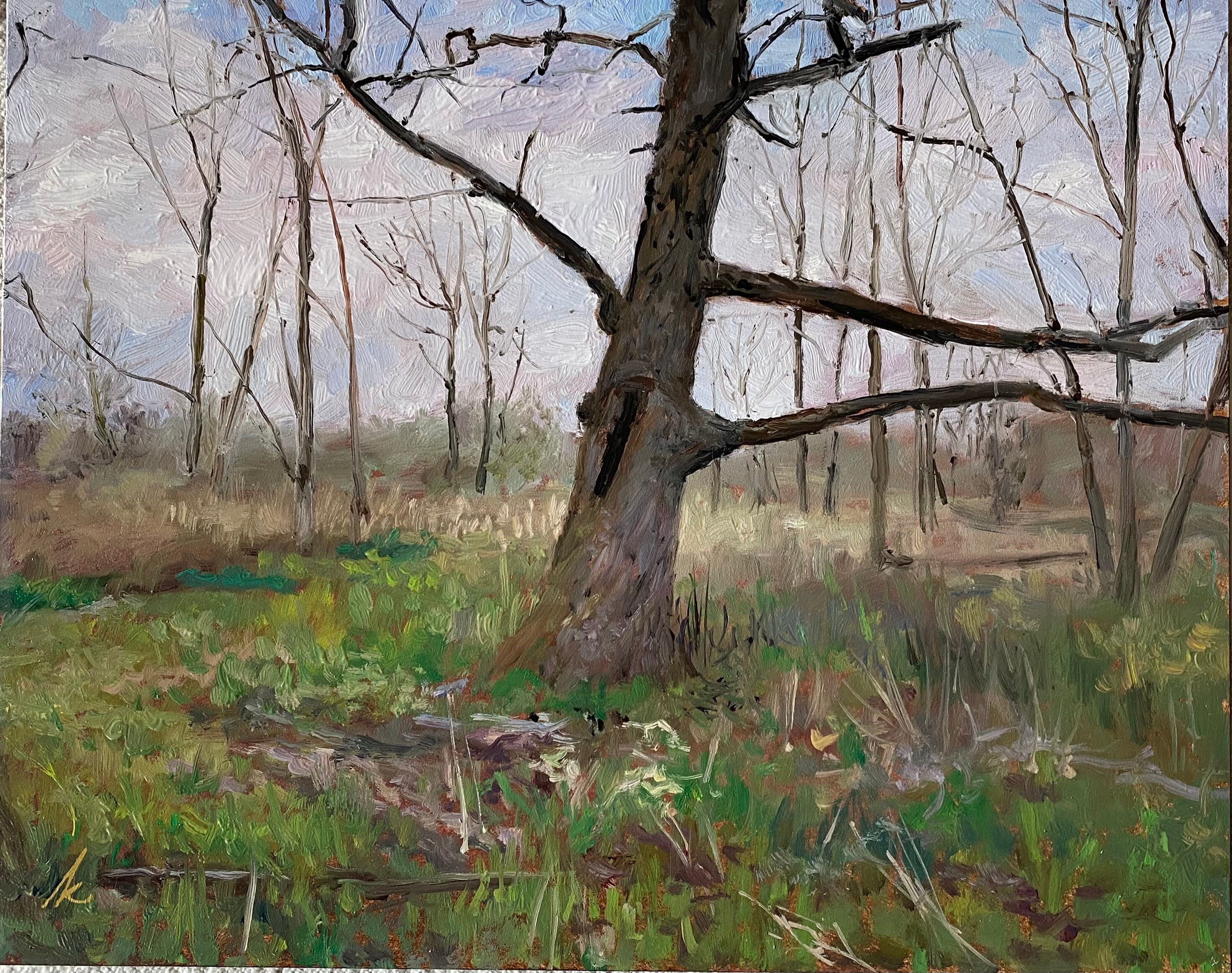 Harbinger, Original Oil Painting of a Tree Announcing Spring is on Its ...