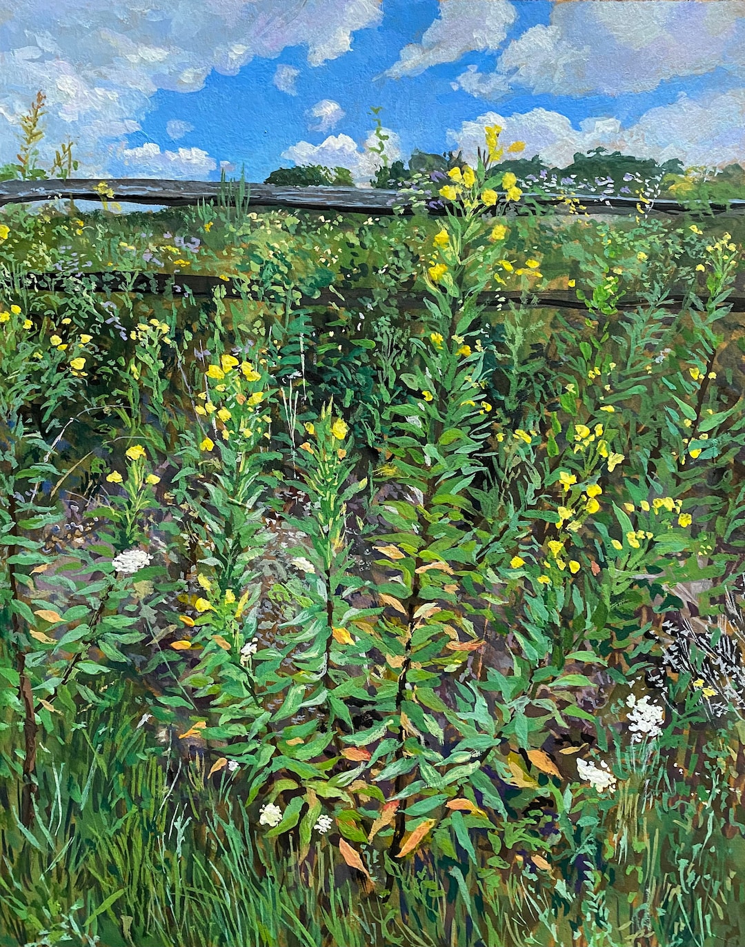 Common Evening Primrose, Gouache Painting of Wildflowers in a Field ...