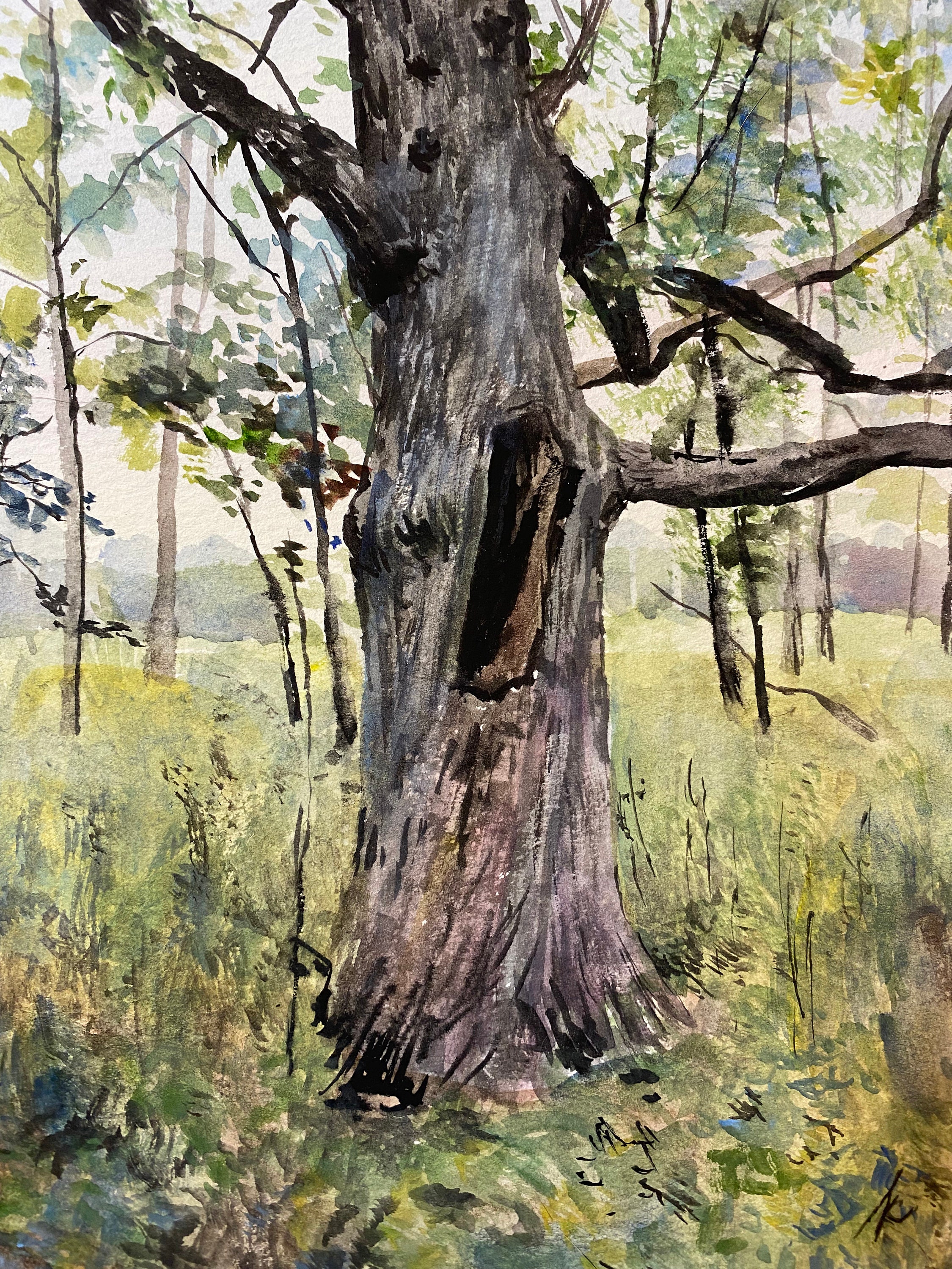 Big Old Tree Art