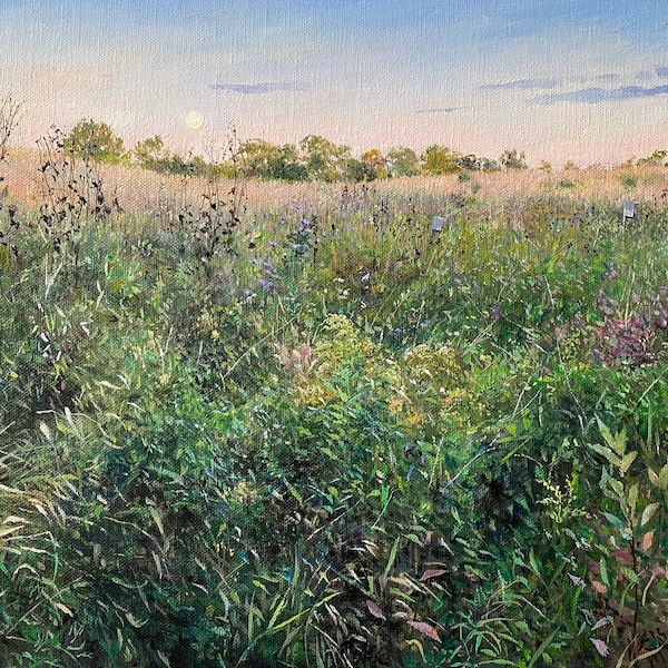 Prairie Paintings - Etsy Canada