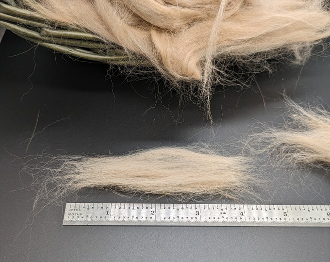 Raw Angora Fiber - Etsy