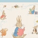 The Tale of Peter Rabbit by Beatrix Potter - Peter Rabbit Panel Quilt ...