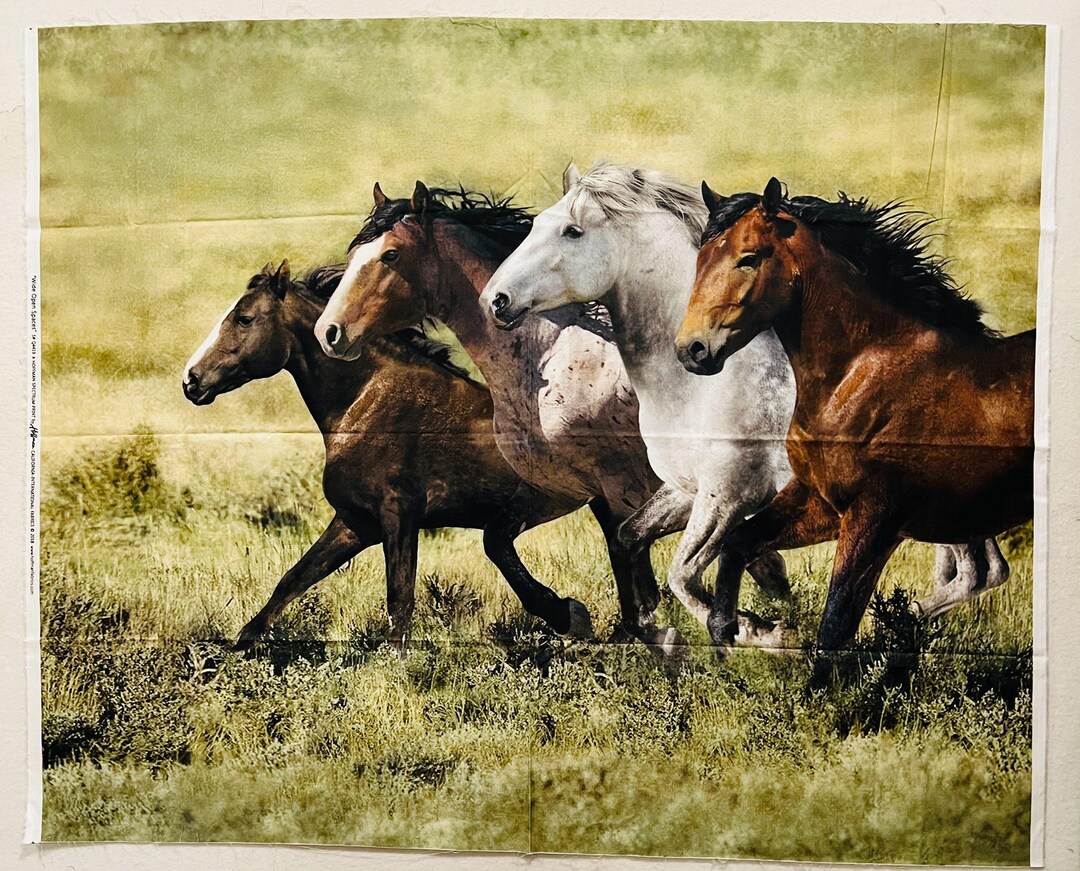 LAST PANEL AVAILABLE! Wide Open Spaces Q4419 - A Hoffman Spectrum Print ...