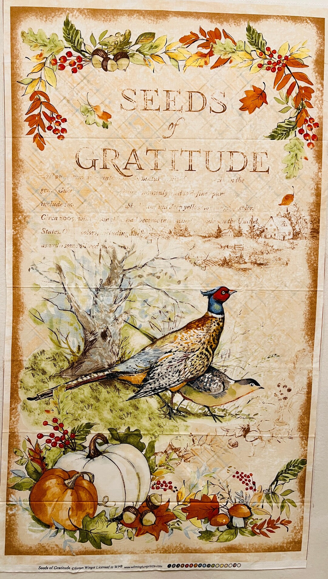 Seeds of Gratitude Panel & 1 Yard Coordinating Susan Winget - Etsy