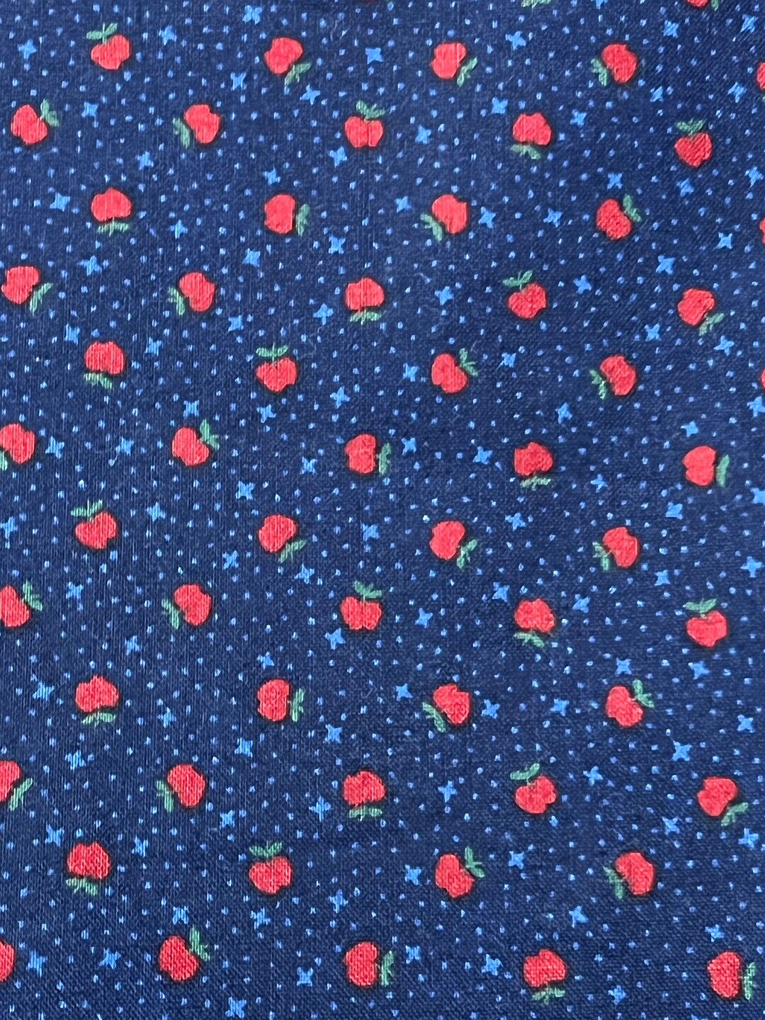 Vintage V.I.P. Cranston Print Works - Screen Print - Apples - Navy ...