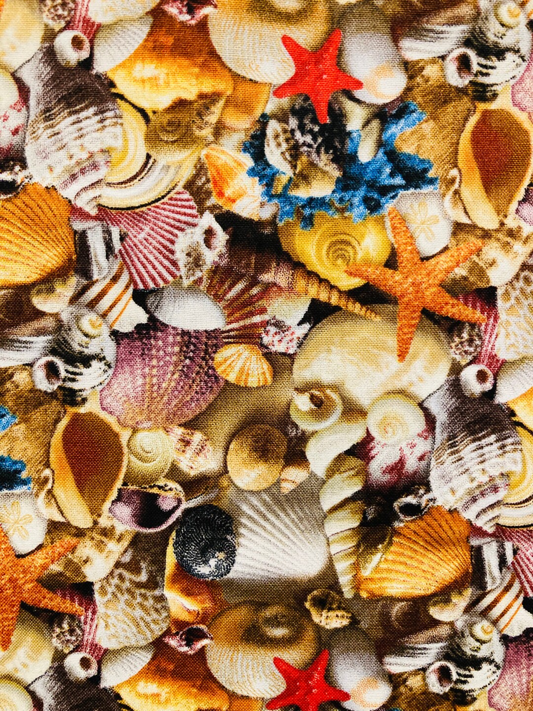 Sea Shells for Elizabeth's Studio - Pattern 382 - 2 Yards - Multi ...