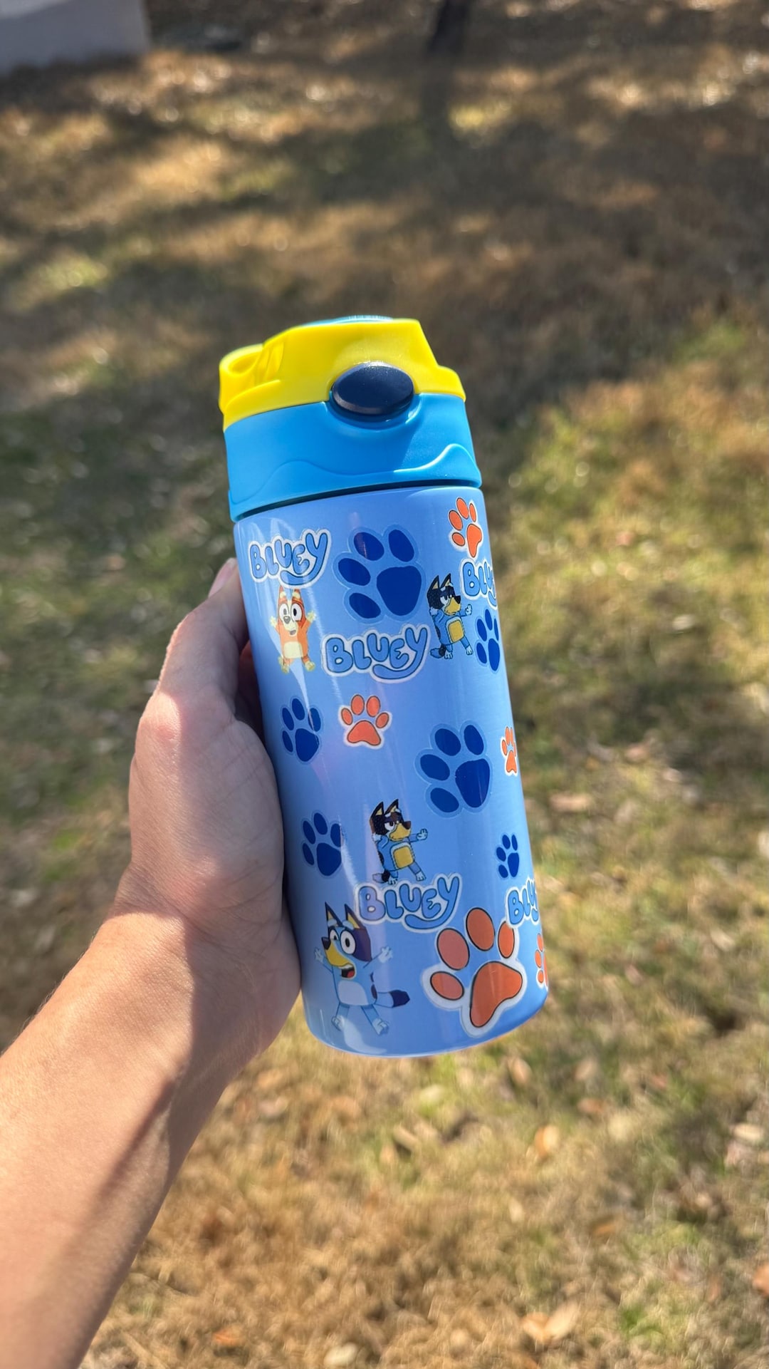 Bluey Water Bottle – 12oz Stainless Steel Bluey and Bing Inspired ...