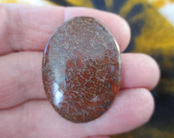 Rare Agatized Dinosaur Bone Cabochon, Cab, Large, Natural, USA Seller ...