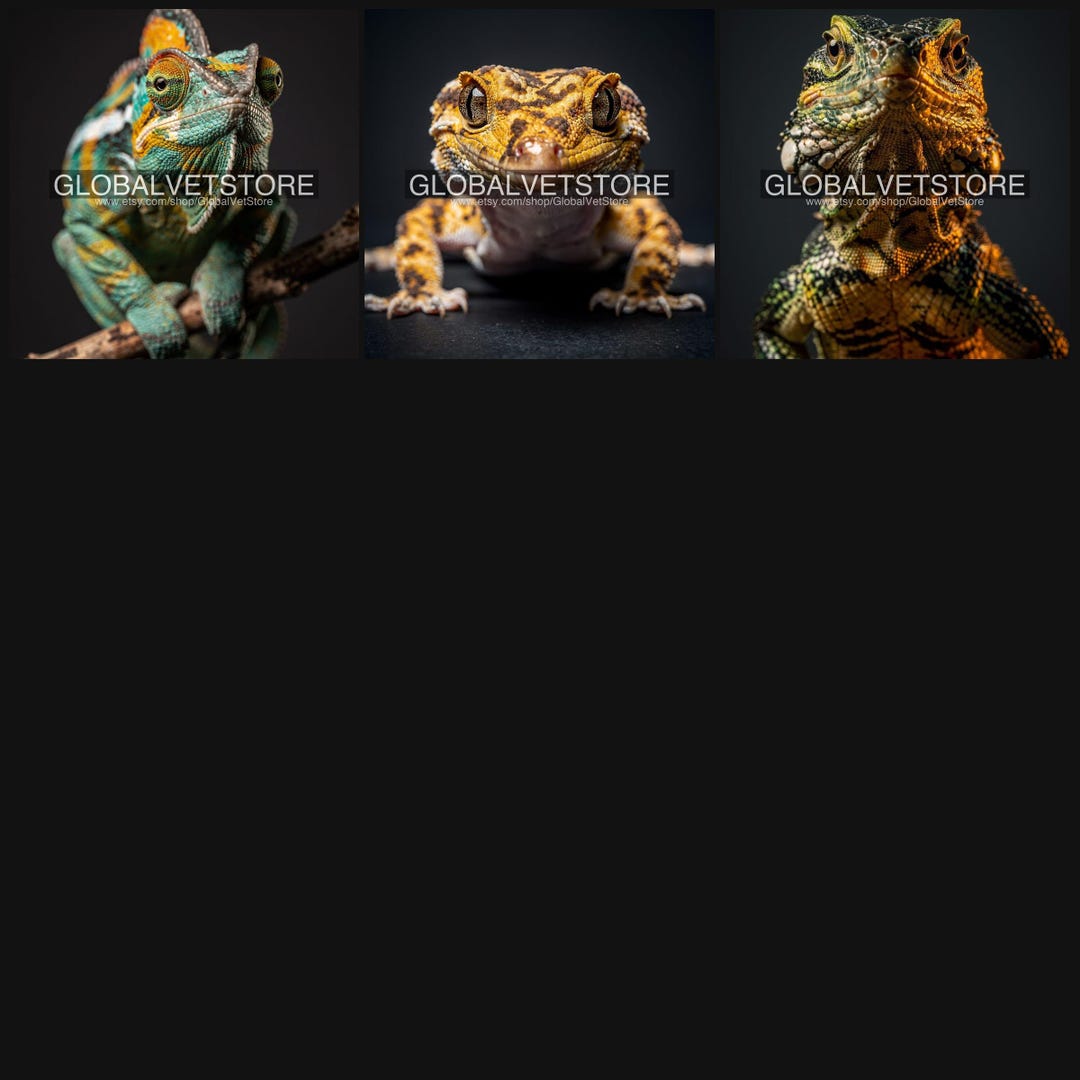 AI Art | 3-pack Reptiles Lizards Bundle - Color Animal Wall Art, 4K/6K ...