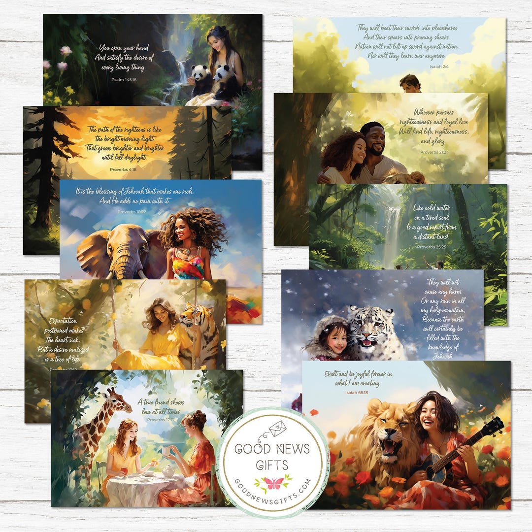 New World Package - Paradise Postcards (pack of 10) - Etsy