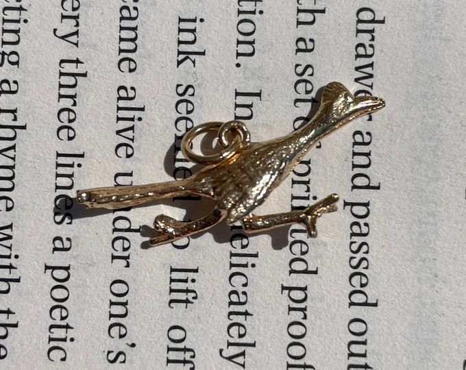 Roadrunner Charm / Pendant in 14k Yellow Gold - Etsy