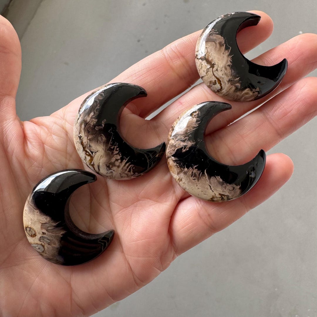 Beautiful 4 Pcs Palm Root Moon Shape Stones on Sale - Etsy