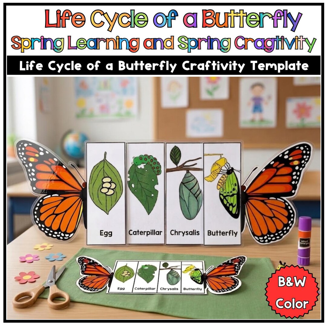 Butterfly Life Cycle Craftivity: Spring Science Cut and Paste Lifecycle ...