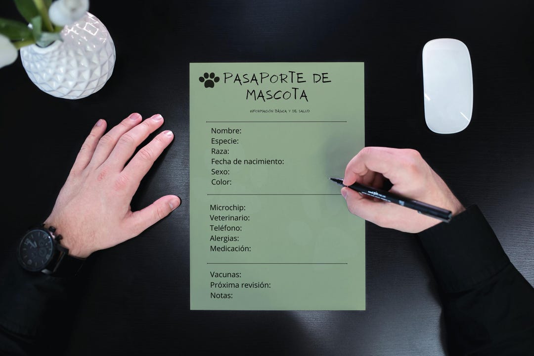 Editable Pet Passport in Canva | Health Information and Data | Digital ...