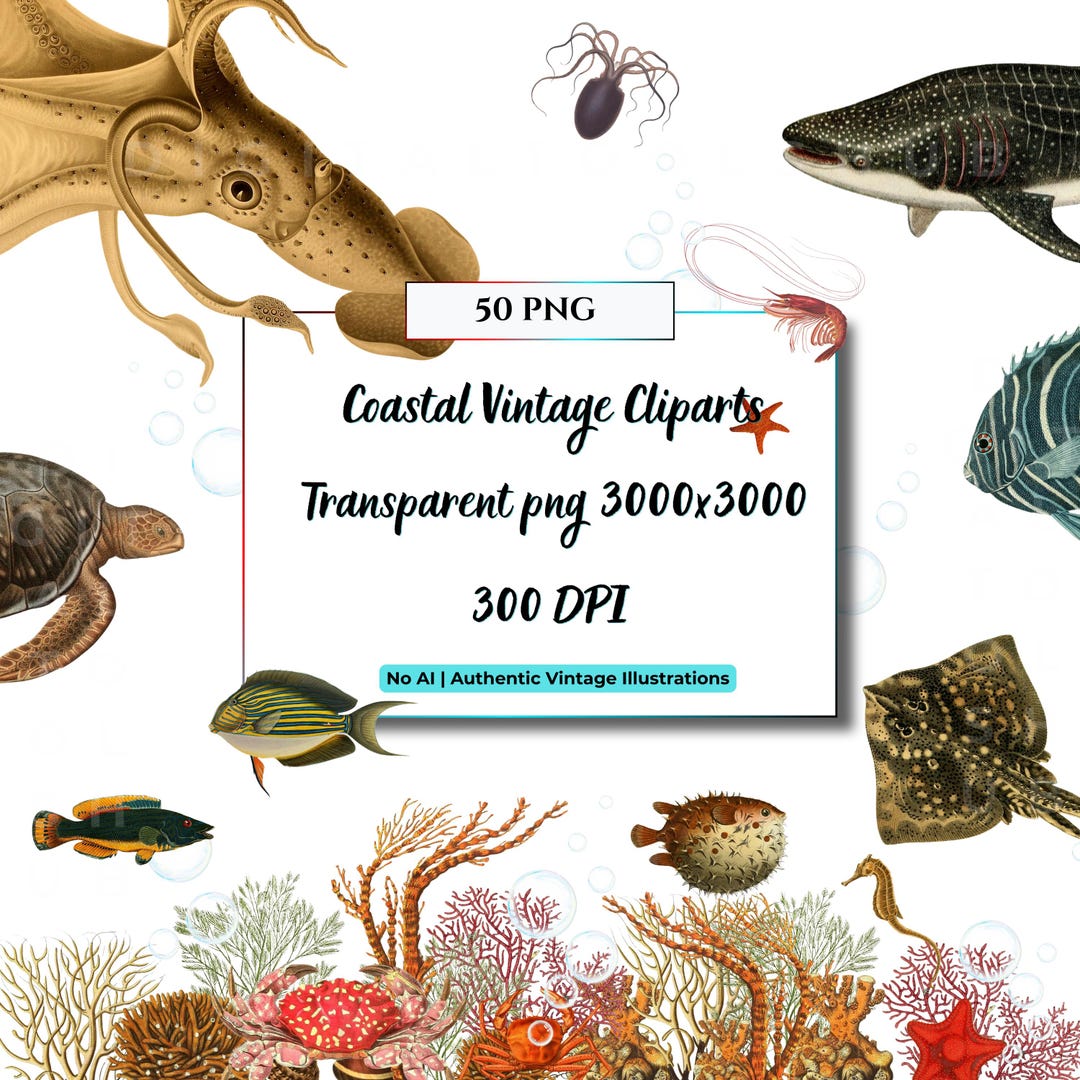 Coastal Vintage Clipart | 50 Transparent PNG | 300 DPI | Ocean Sea Life ...