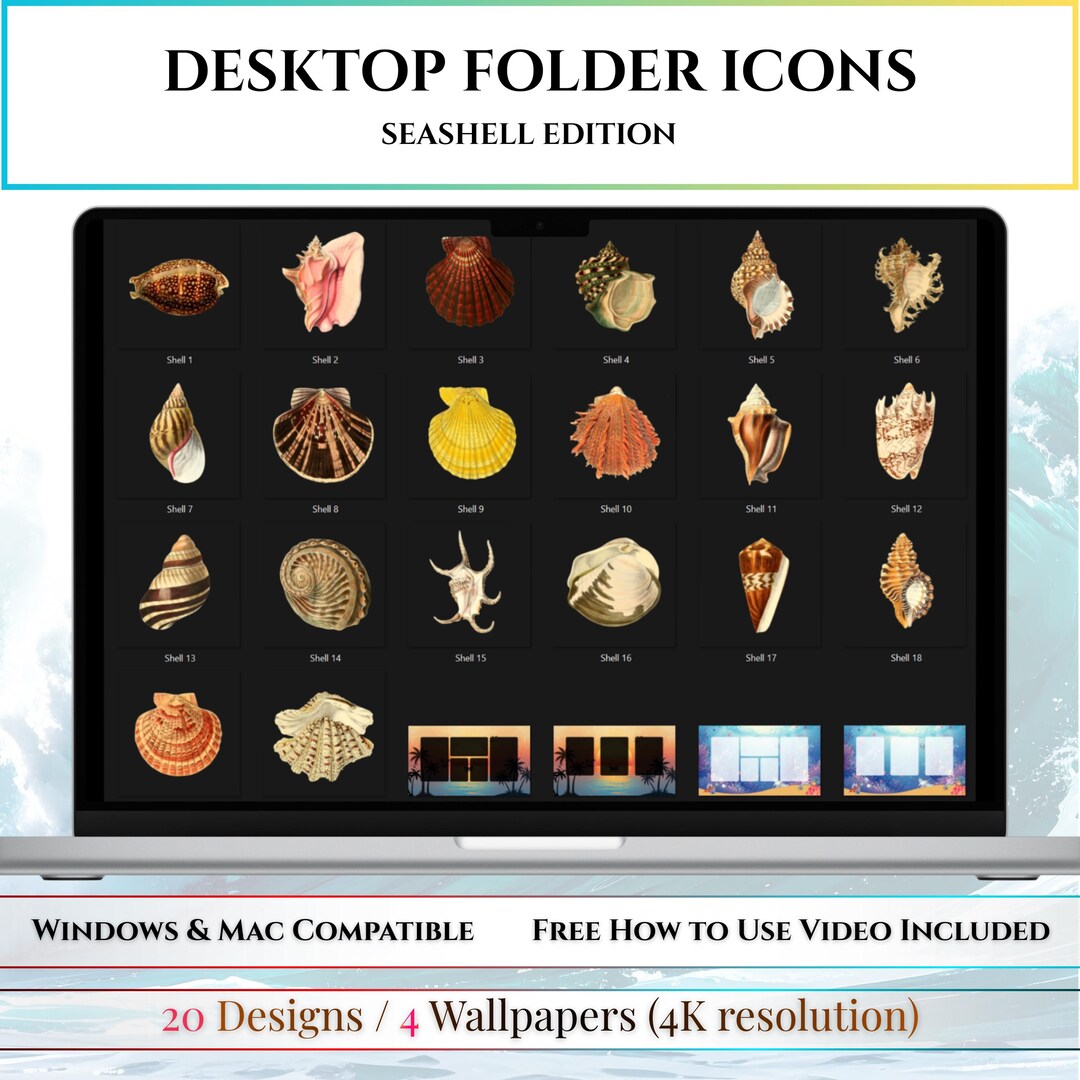 Seashell Desktop Folder Icons & 4K Organizer Wallpapers | Mac/windows ...
