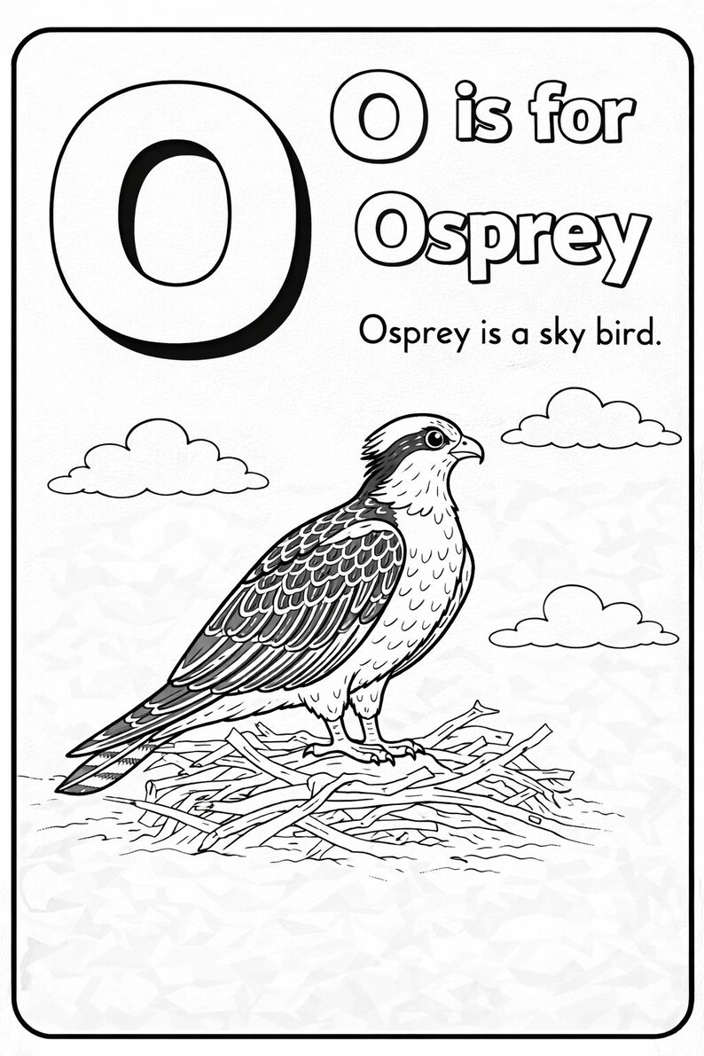 A to Z Sky Birds Alphabet Coloring Book for Kids, Educational Learning ...