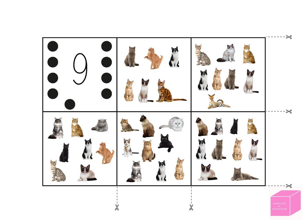 Montessori Counting 6-10 Printable - Etsy
