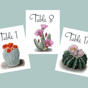 Cactus Table Numbers Desert Table Tents Cactus Table Cards - Etsy