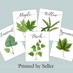 Woodland Leaf Table Cards, Woodland Table Tents, Wedding Tree Cards ...