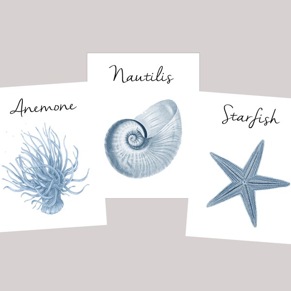 Beach Wedding Table Numbers - Etsy