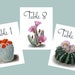 Cactus Table Numbers Desert Table Tents Cactus Table Cards - Etsy