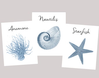 Shell Table Numbers Beach Wedding Shell Cards Surf and Turf - Etsy