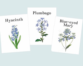 Cactus Table Numbers Desert Table Tents Cactus Table Cards | Etsy