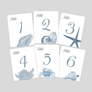 Shell Table Numbers, Beach Wedding, Shell Cards, Surf and Turf Wedding ...