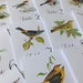 Bird Table NUMBERS Bird table tent cards Wedding Table Cards | Etsy