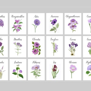Table Numbers With Purple Flowers, Lavender, Lilac, Violet Table Cards ...