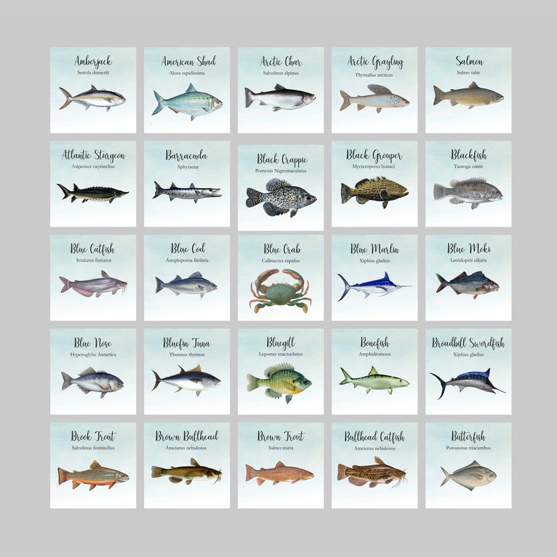 Fish Seating Charts Fishing Seating Cards Fish Seating - Etsy