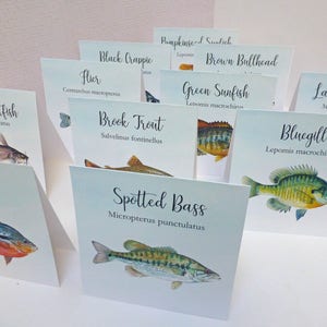 Fish Table Cards Summer Wedding Table Cards Freshwater Fish | Etsy