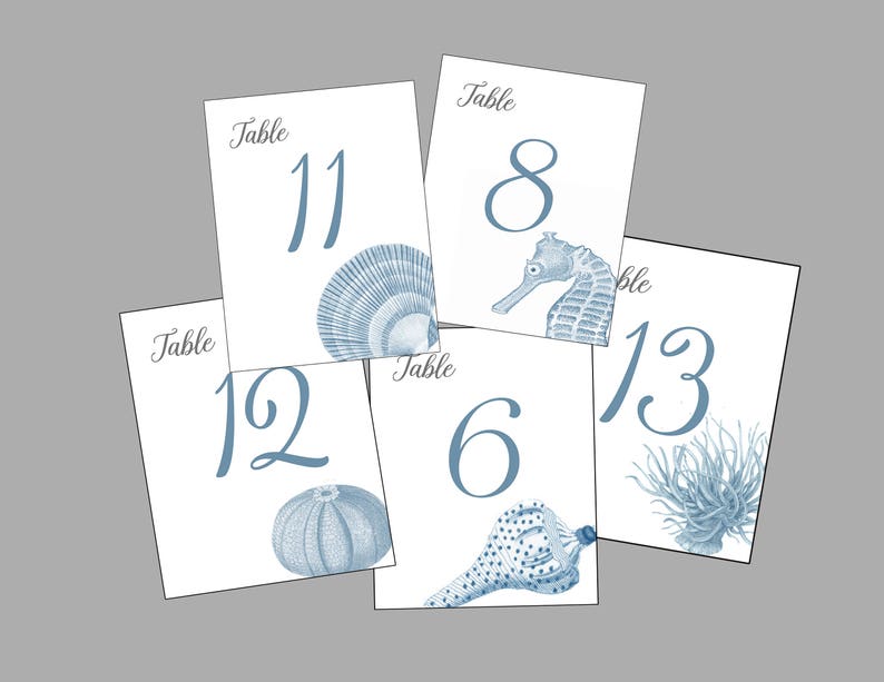 Shell Table Numbers Beach Wedding Shell Cards Surf and Turf - Etsy