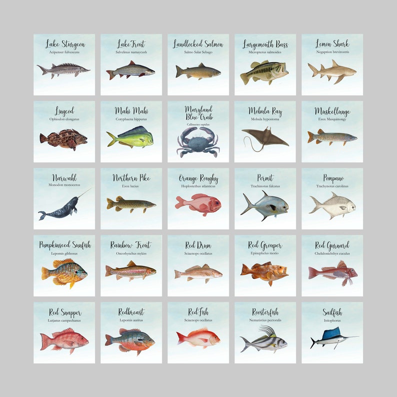 Fish Seating Charts Fishing Seating Cards Fish Seating - Etsy