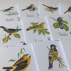 Bird Table NUMBERS, Bird Table Tent Cards, Wedding Table Cards With ...