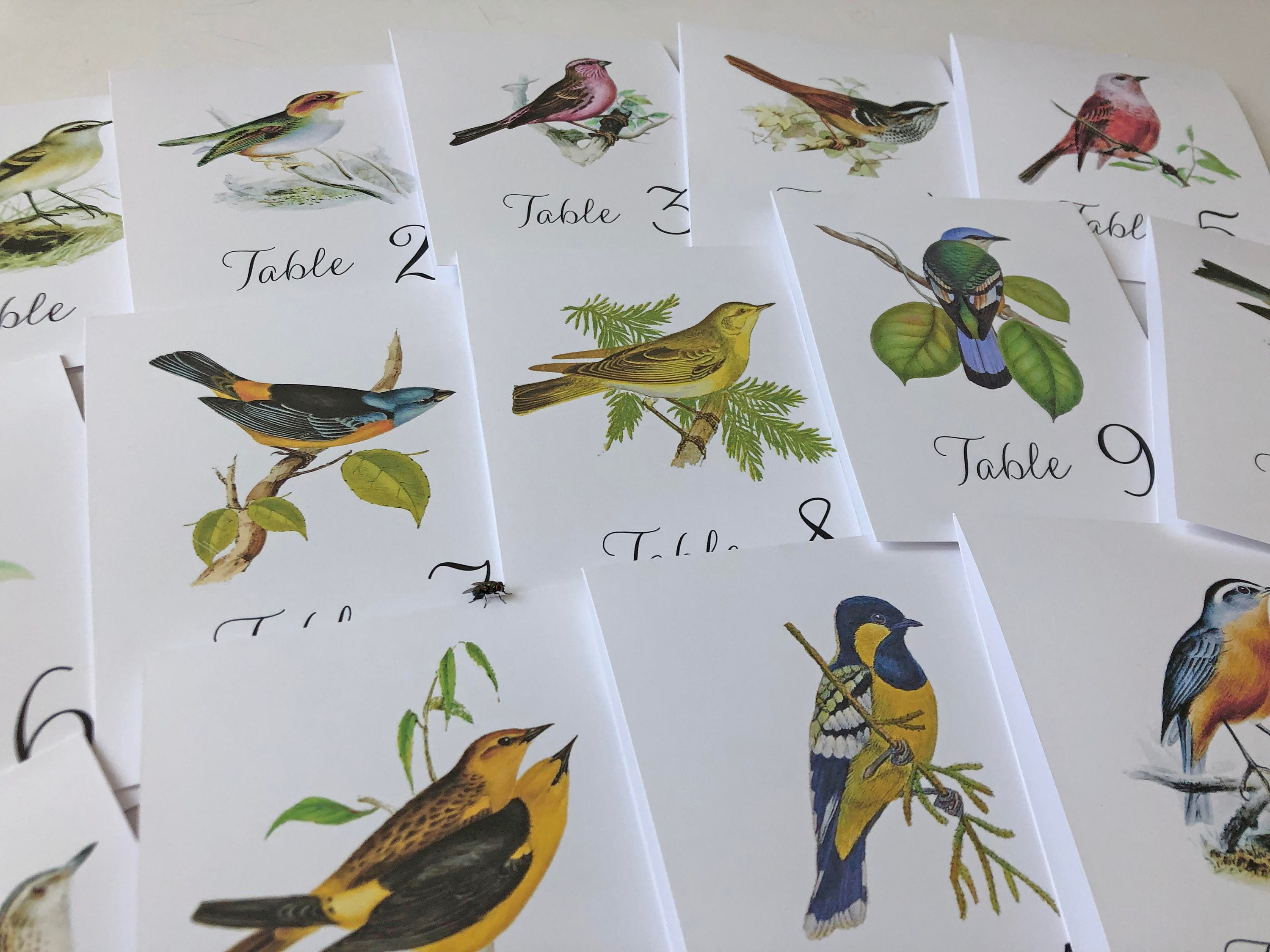 Bird Table NUMBERS, Bird Table Tent Cards, Wedding Table Cards With ...