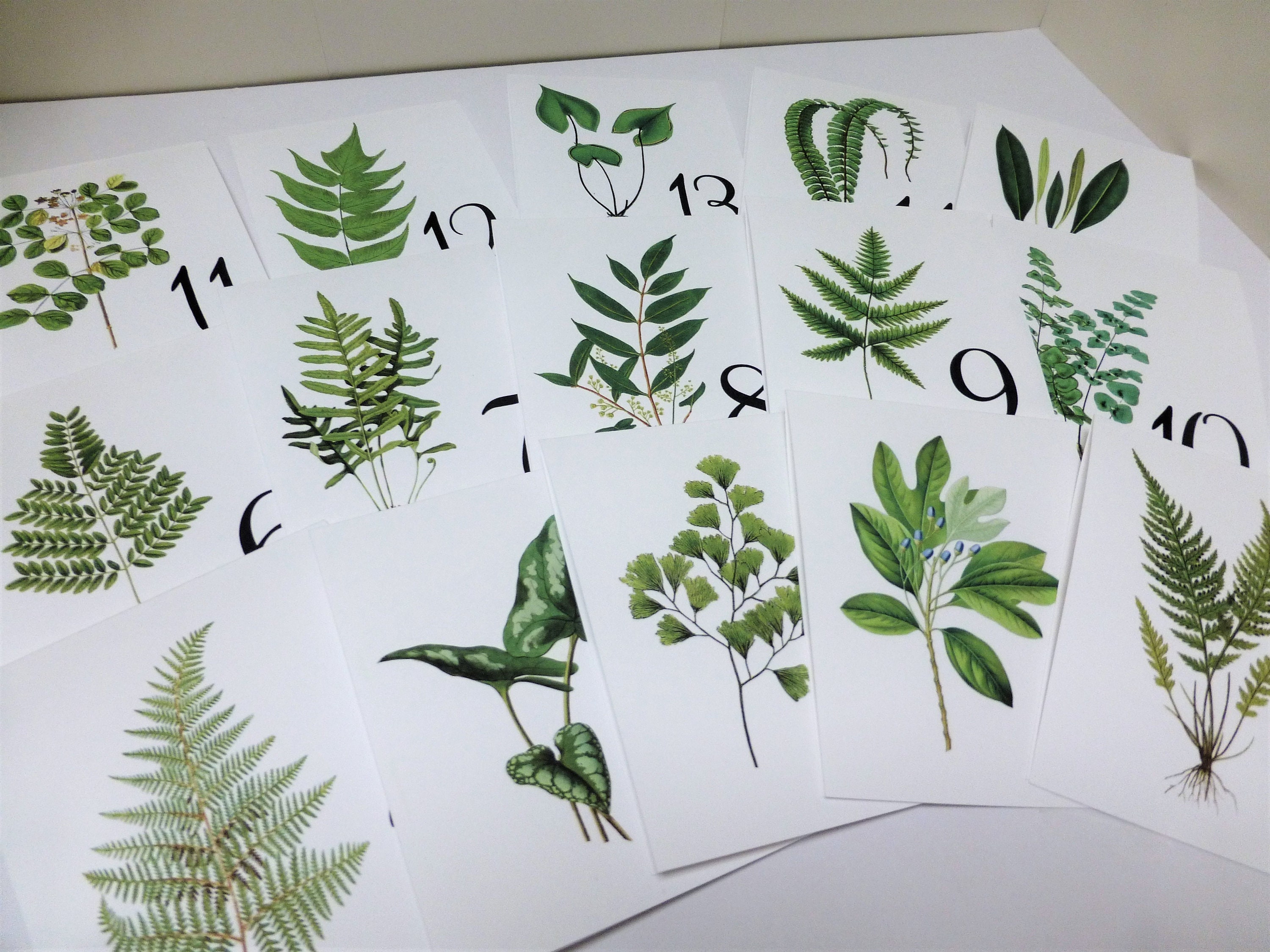 Woodland Leaf Table Cards, Botanical Table Tents, Woodland Leaf Numbers ...