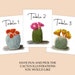 Cactus Table Numbers, Desert Table Tents, Cactus Table Cards, Desert ...