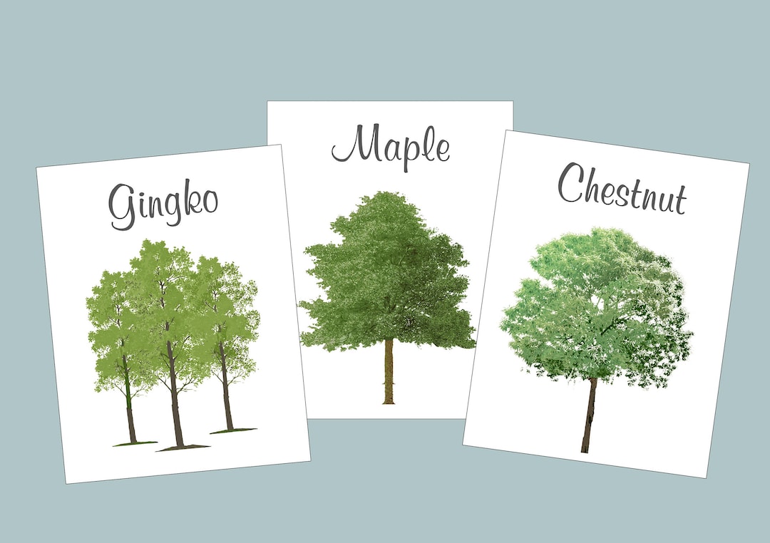 Tree Table Cards, Botanical Cards, Woodland Table Tents, Wedding Table ...